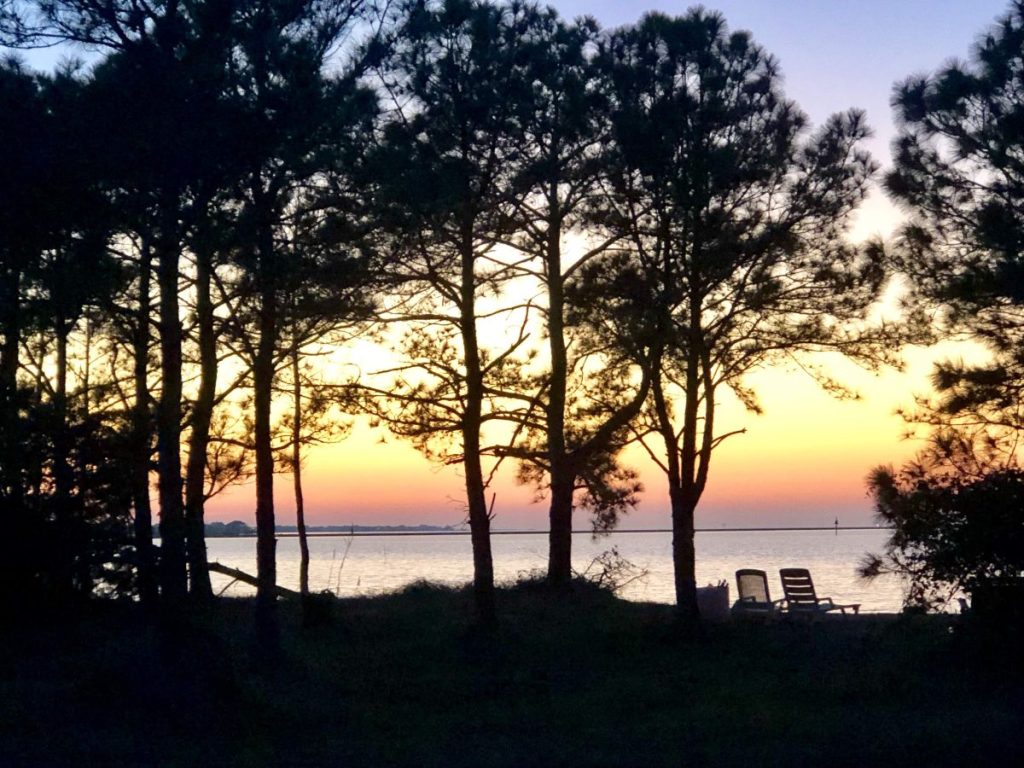 The 7 Absolute Best Beaches In Alabama