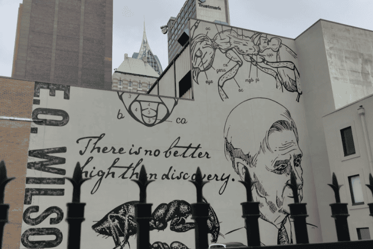 15 Unique Murals In Downtown Mobile