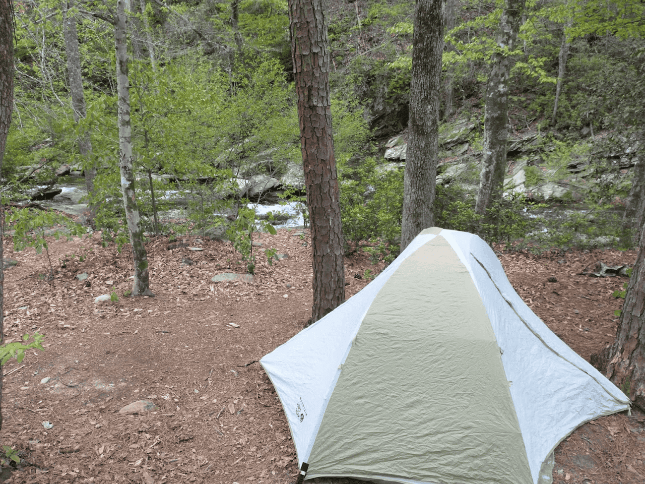 5 Best Campgrounds In Alabama To Explore In 2025